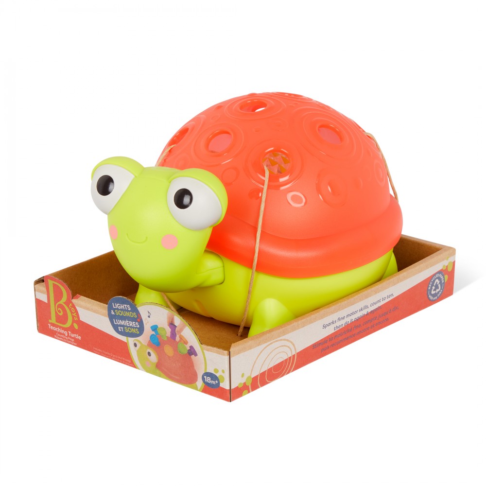 TORTUE J'APPRENDS A COMPTER-B.TURTLE WITH PEGGS